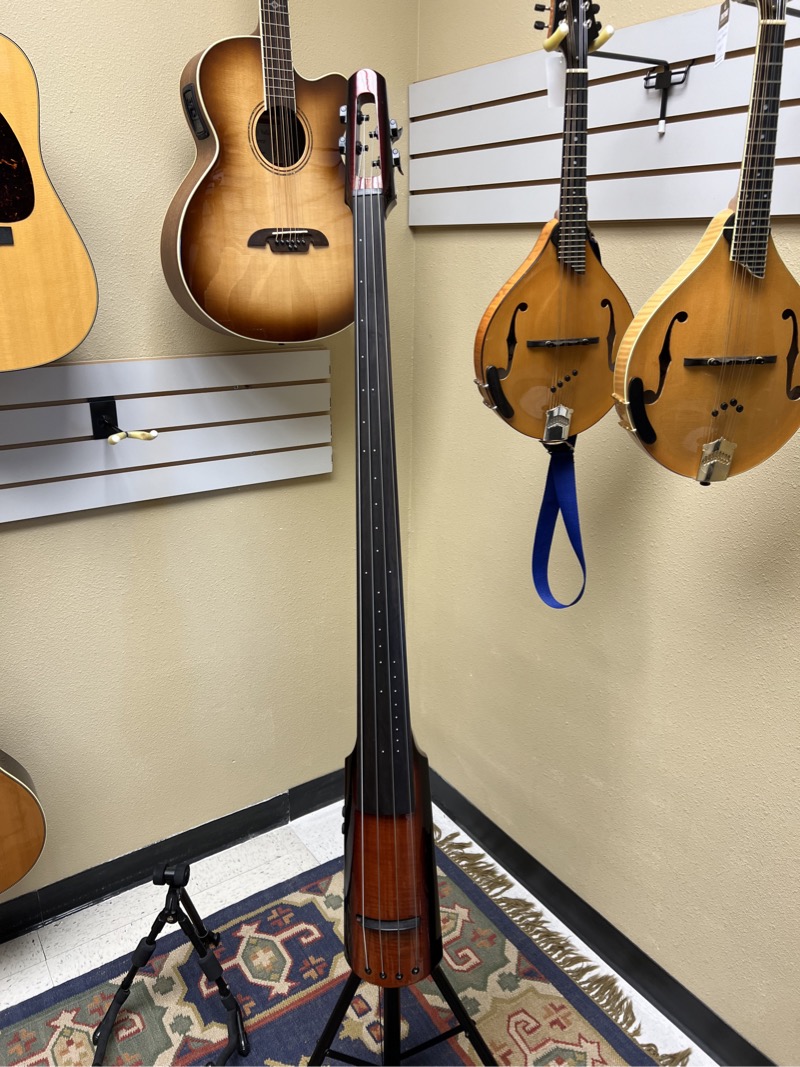 NS NXT Stand-Up Electric Bass | Spiritwood Acoustic