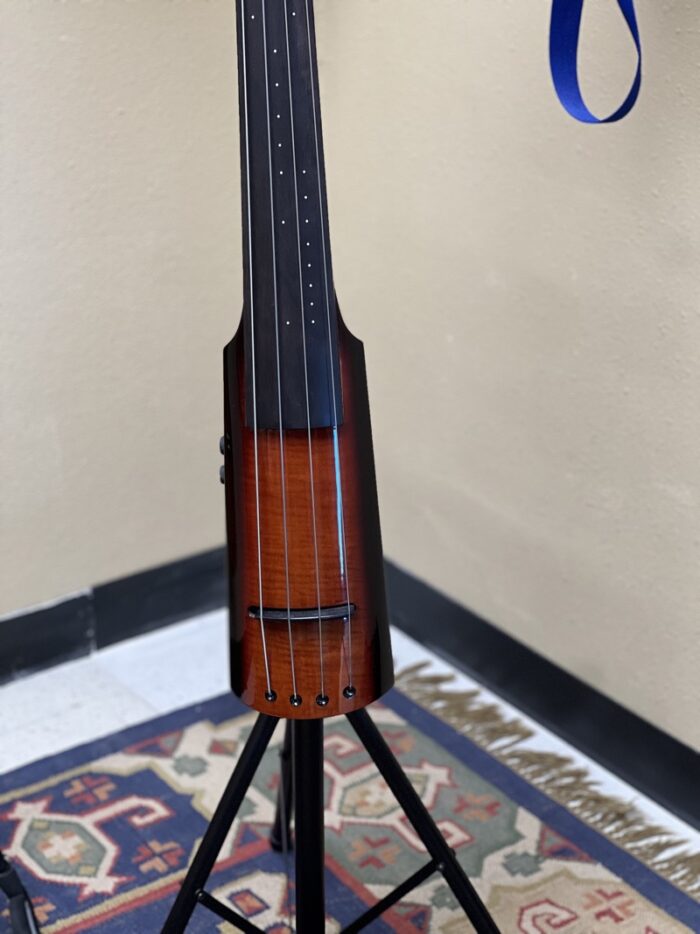 NS NXT Stand-Up Electric Bass | Spiritwood Acoustic