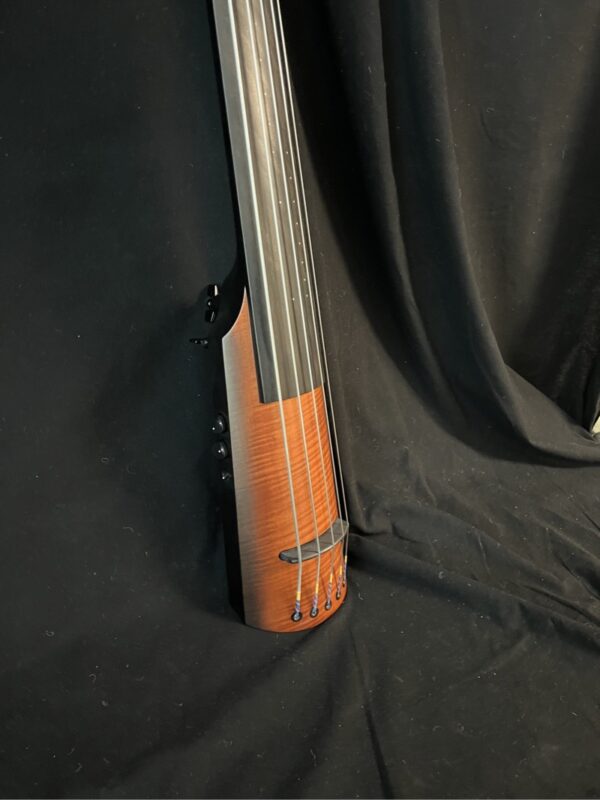 NS NXT Stand-Up Electric 5 String Bass | Spiritwood Acoustic
