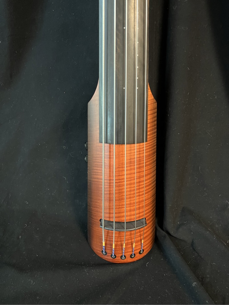 NS NXT Stand-Up Electric 5 String Bass | Spiritwood Acoustic